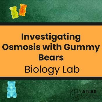Investigating Osmosis With Gummy Bears By ATLAS Science TPT