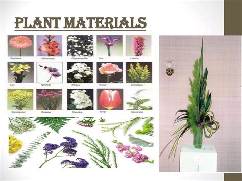 Flower Arrangement Ppt PDF Gardening Home Garden