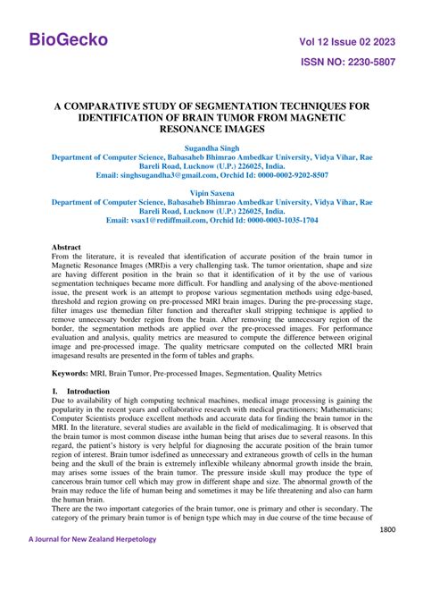 Pdf A Comparative Study Of Segmentation Techniques For Identification