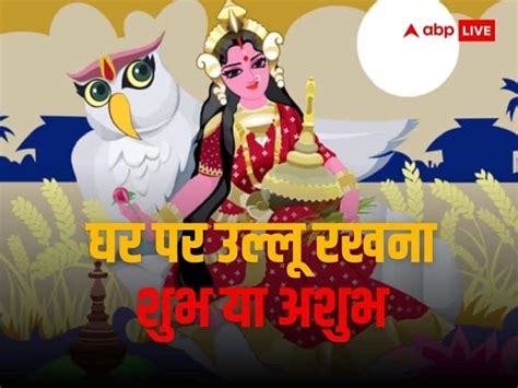 Vastu Tips Can We Keep Owl Statue At Home And Office Know Vastu Shastra
