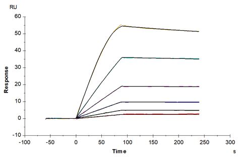 Human Cynomolgus Activin Riib Acvr2b Protein Arb Hm22b Kactus