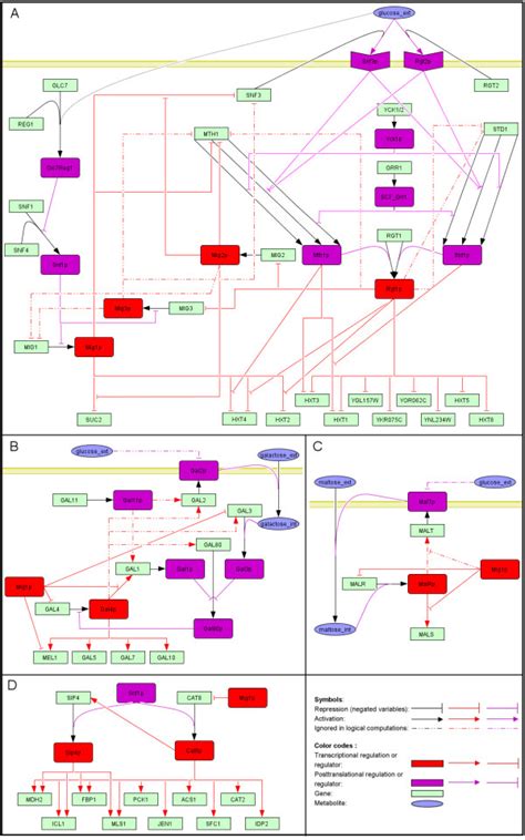 hypergraph representation of the boolean model for yeast glucose download scientific diagram