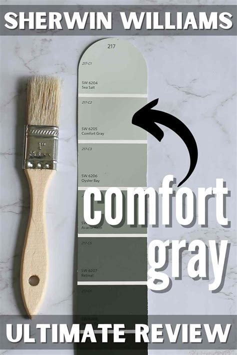 Sherwin Williams Comfort Gray Sw 6205 Ultimate Review Pictures