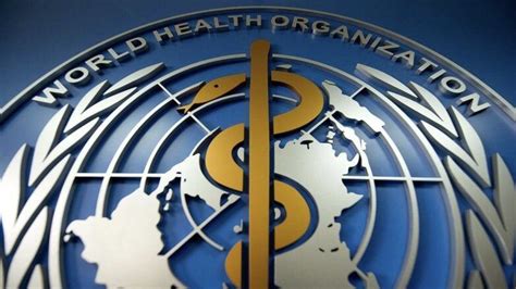 ТИТЭМ ВИРУС Амиа алдсан хүний тоо 213 д хүрч ДЭМБ онц байдал зарлалаа