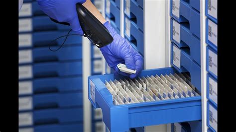 Dreampath Traceability In Pathology With Fina And Crystal Youtube