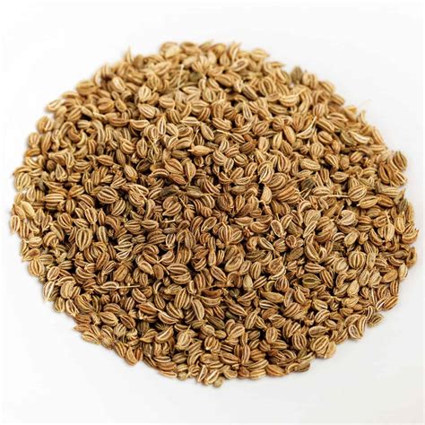 Celery Seed Essential Oil My Animal Matters