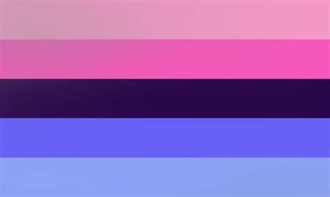Omnisexual Pride Flag Hand Sewn Omni Flag Custom Sizes Available
