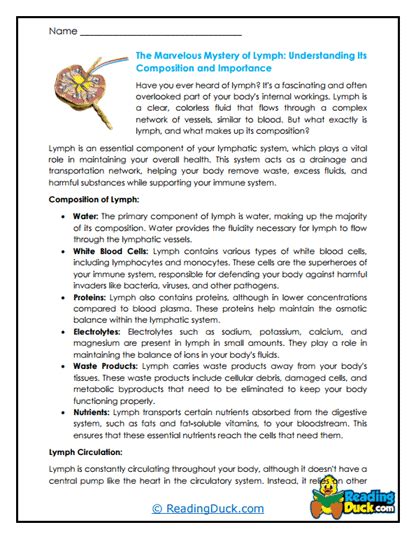 Lymphatic System Worksheets Human Body Reading