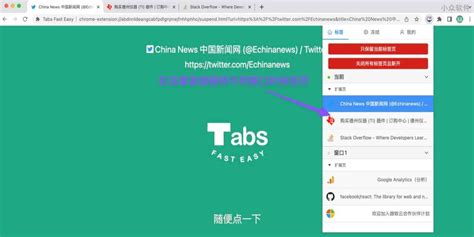 用 Tabs Fast Easy 自动冻结标签页：释放内存，提高流畅度。还能跨窗口跳转标签页 Chromeedge