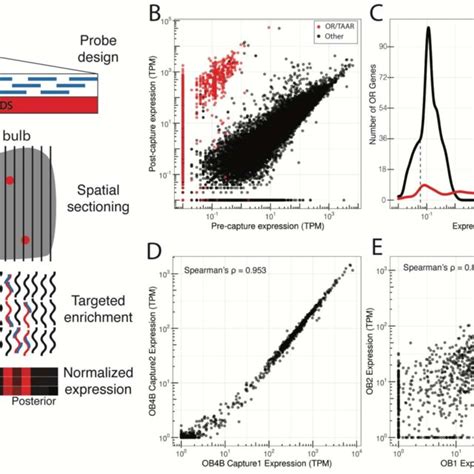 target capture sequencing consistently enriches or transcripts a 608