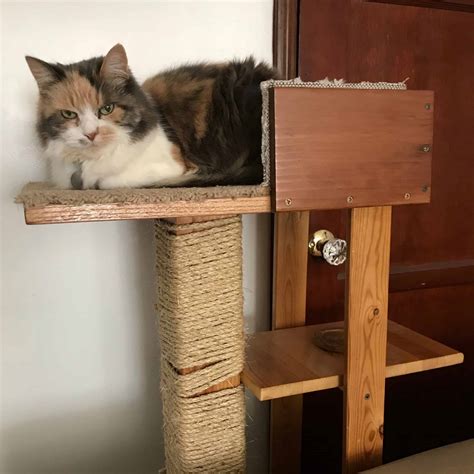 15 Diy Cat Trees How To Build A Cat Tower