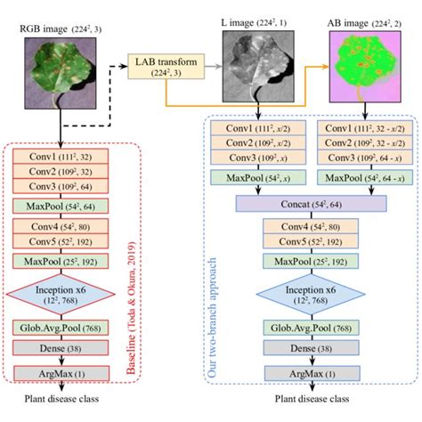 2 Graphical Representation Of The Two Branch Cnn Architecture