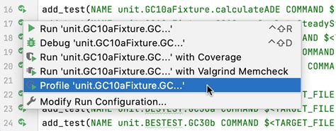 ctest support clion