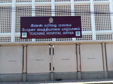 යාපනයේ මී උණ රෝගීන්ගේ සීඝ්‍ර වැඩිවීමක් Radio Wesl Wesl News