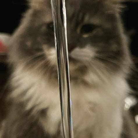 Trap Jack 👀👀👀👀 R Shuumatsunovalkyrie