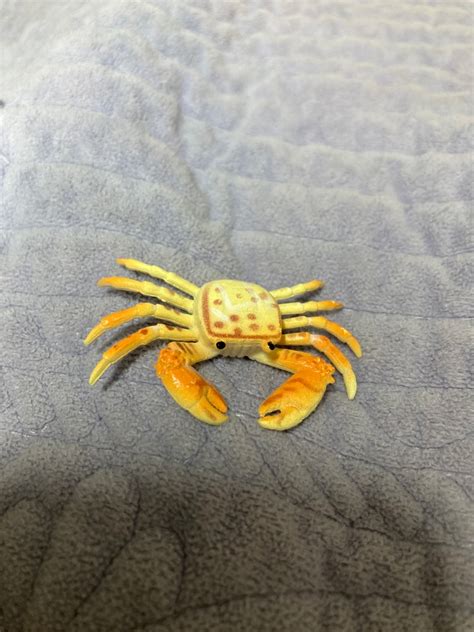 게 종류좀 알려주세요 지식in