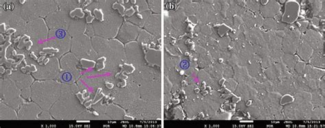 1 Sem Images Showing The Microstructures Of Nial Tic Tib2 Composites Download Scientific