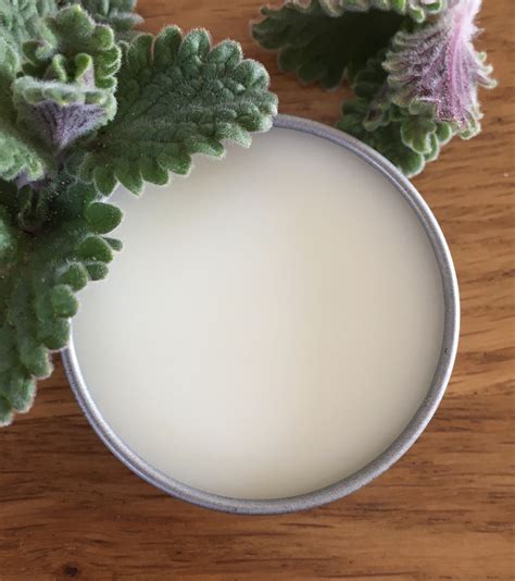 Buy Natural Minty Handmade Lip Balm Handmade Lip Balm