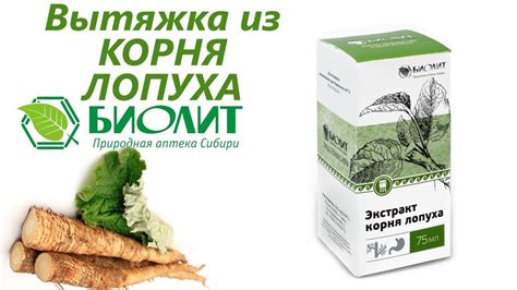 🍀Арго. Корень лопуха. Свойства/Польза🍀 - YouTube