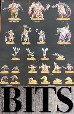 Warhammer 40k Kill Team Gellerpox Infected Single Figure Bit Nurgle