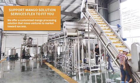 Mango Processing Solution Provider From Atoz