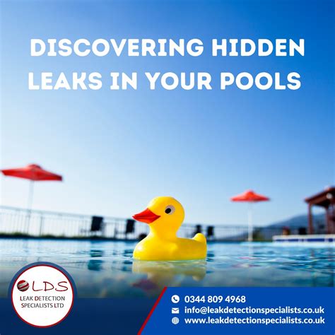 Discovering Hidden Lds Leak Detection Specialists Ltd