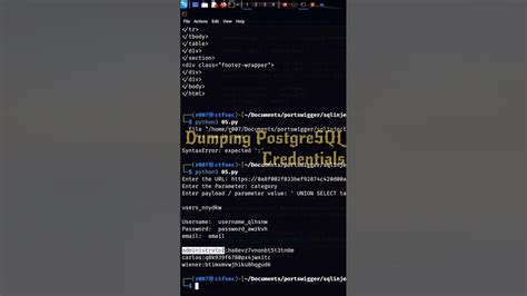 Extracting Usernames Passwords From Postgresql Database Shorts Sqlinjection Python Appsec