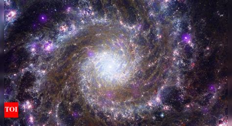 ‘the Great Attractor Astronomers Discover Force Driving Galaxies In Common Direction Times