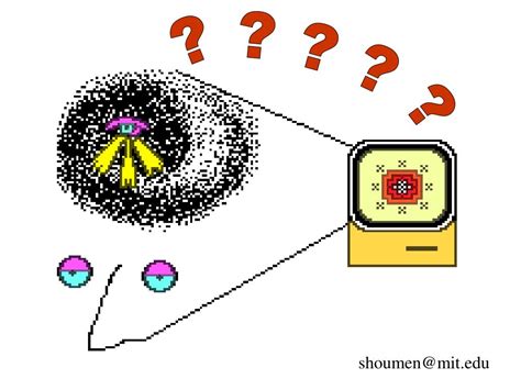 Ppt Microarray For Dummies Powerpoint Presentation Free Download Id3411303