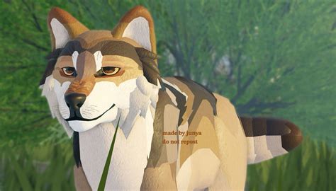 15 Awp Morphs Ideas Warrior Cats Warrior Cats Art Wolf Pack