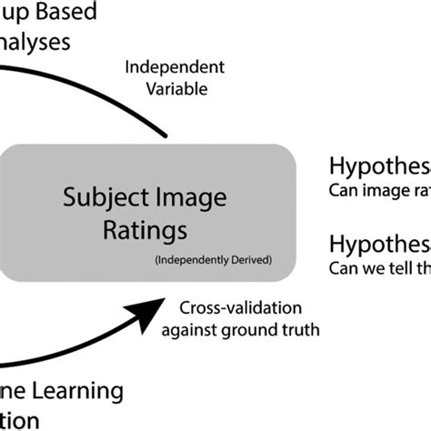 Graphical Illustration Of The Analyses Strategy And Respective