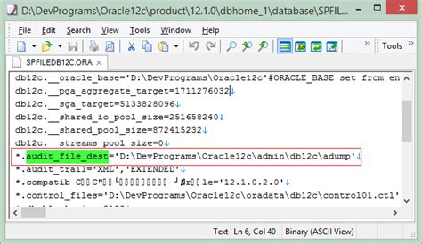 Standard Database Auditing In Oracle