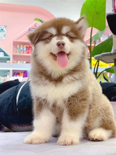 Best Clothing For Husky Girl At Lesley Jones Blog