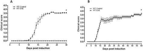Journal Of Integrative Neuroscience On Linkedin Loss Of Cells In The Retinal Ganglion Cell