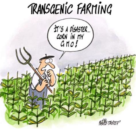 Gmo Uvm Genetics And Genomics Wiki Fandom