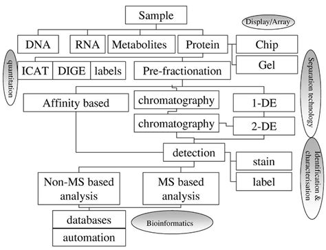 Schematic Of The Integration Of Technologies For Proteomics Including Download Scientific
