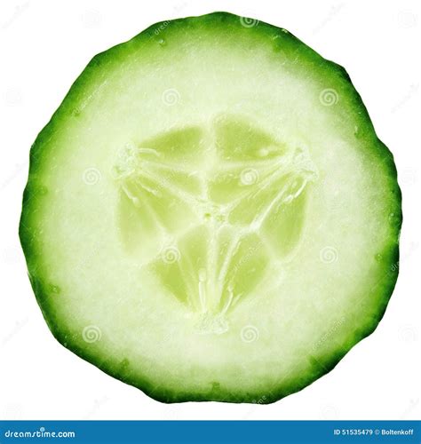 Slice Of Cucumber Stock Image Image Of Cucumber Vegetable 51535479