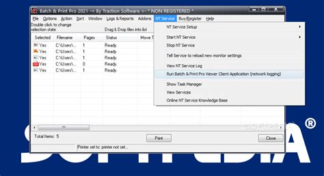 Batch And Print Pro Download Softpedia