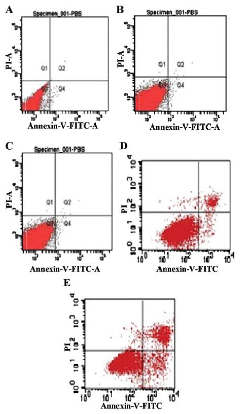 Flow Cytometry Plots For Detecting Apoptosis In Cells Derived From Download Scientific Diagram