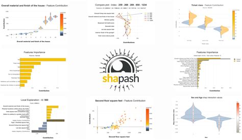 又一机器学习模型解释神器Shapash CSDN博客