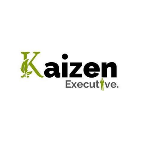 Kaizen Executive Youtube