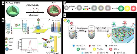 Schematic Diagram Of Polymeric Nanospheres Ens From Download Scientific Diagram
