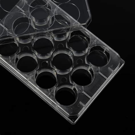 Plat Kultur Sel Dibuat Dari Pembuat Dan Pembekal Steril Polistirena