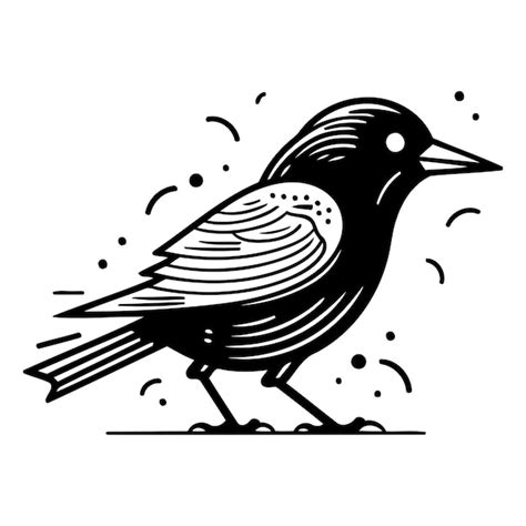 Crow Vector Illustration Of A Bird On A White Background Premium Ai