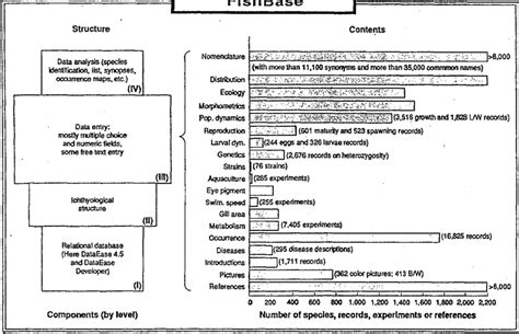 Structure And Contents Of Fishbase Download Scientific Diagram