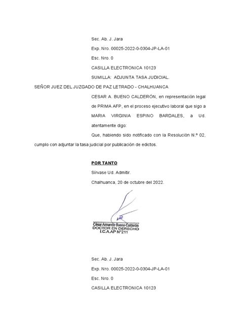 Afp And Maria Virginia Espino Bardales Pdf