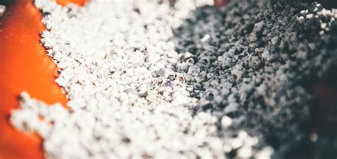 Machine Learning As A Service Mlaas Definition And Examples Label