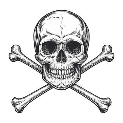 Skull Png Logo