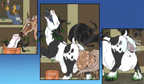 Rule 34 Absurd Res Adinia Sdocat Anatomically Correct Anatomically Correct Genitalia Anus