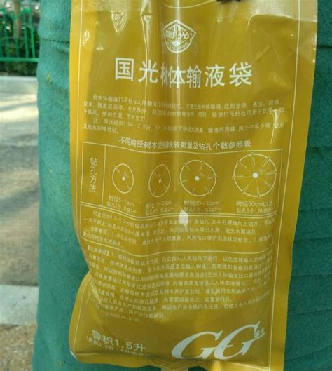 廈門鯰魚颱風過後 樹木連根拔起依靠打點滴存活 每日頭條